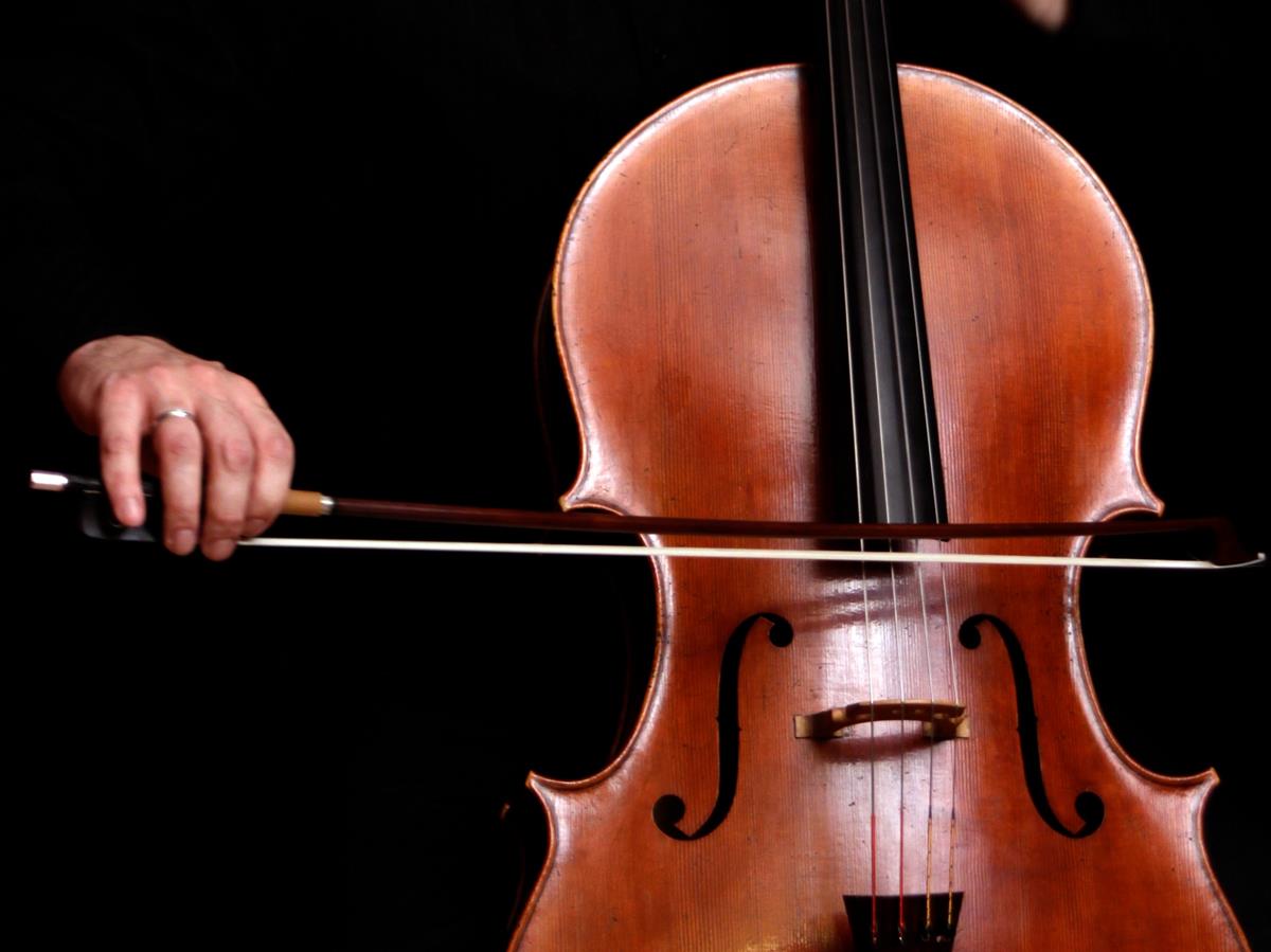 Freudigman Cello Studio - Teaching Credentials